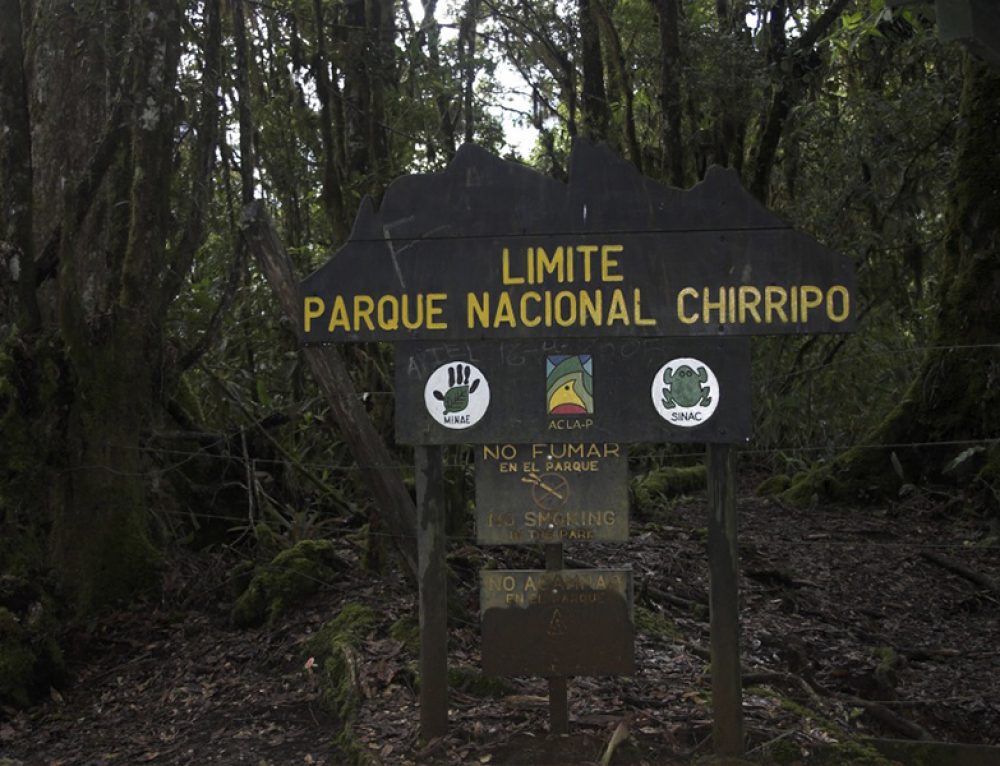 Visit Costa Rica's highest mountain - Cerro Chirripó Tour